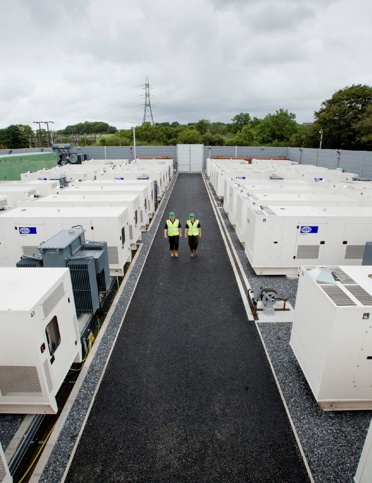 Green Frog Power | The UK's leading providers of reliable power